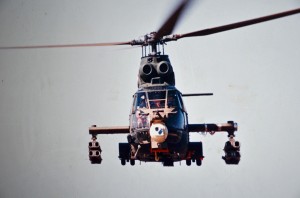 Puma modificat in Hind si Gazelle modificat pentru filmari - Romania ...