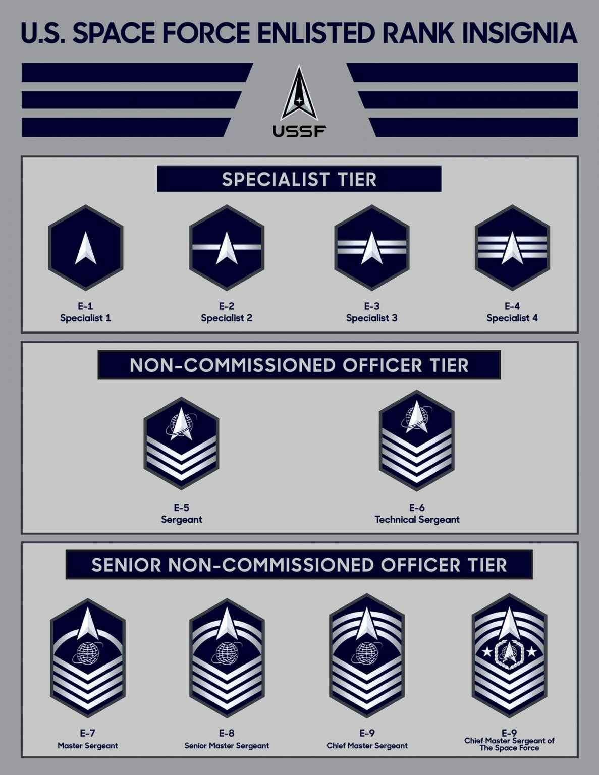 U.S. Space Force enlisted rank insignia...and service dress - Romania ...