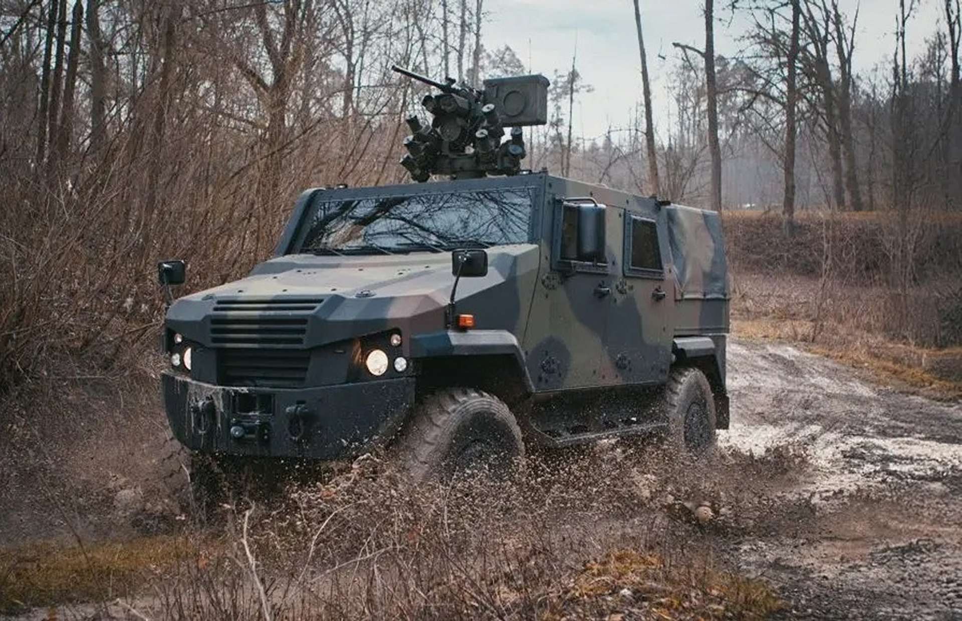 Germania - Romania Military